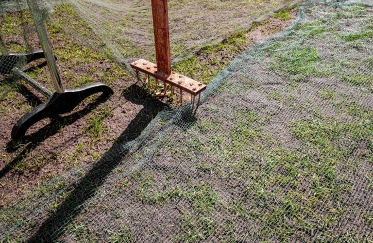 Top Dressing for Garden Aesthetics: Expert Enhancement Tips